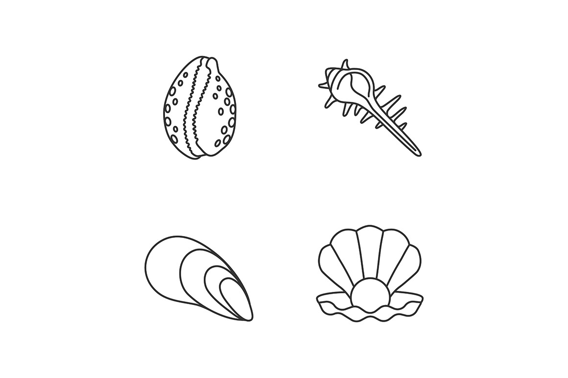 Different sea shells linear icons, an Outline Icon by bsd studio