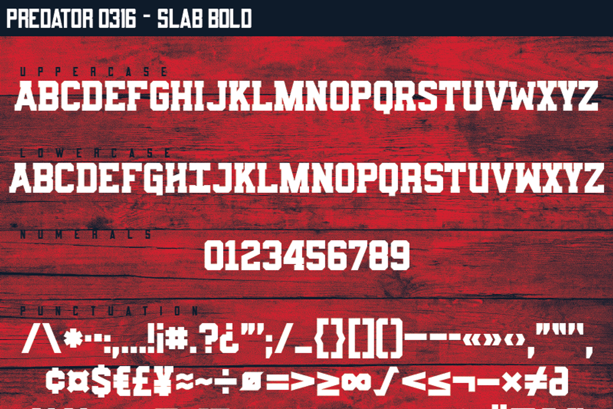 Predator 0316 - Full Family, a Sans Serif Font by American Eargle