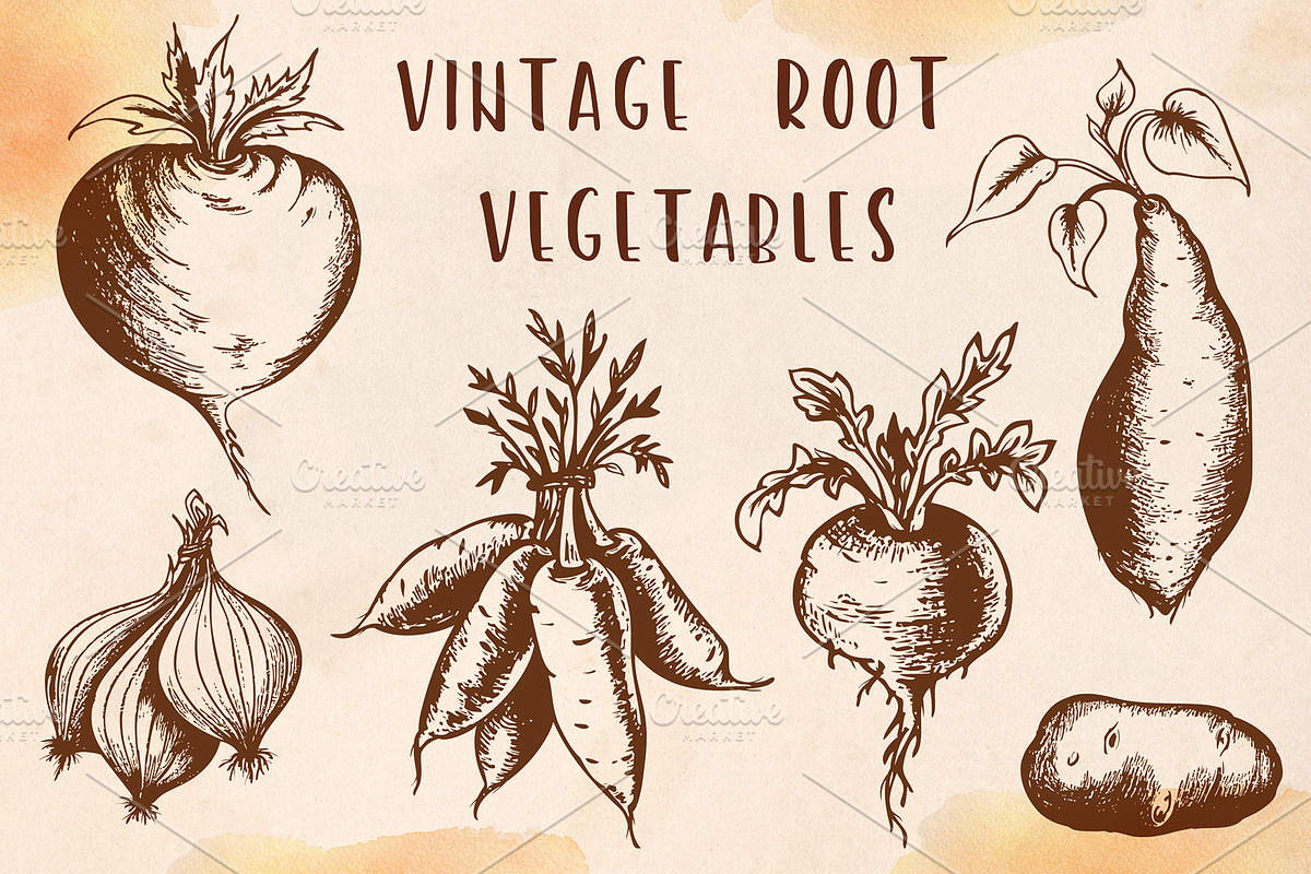 Vintage vector vegetables, a Food Illustration by Artspace