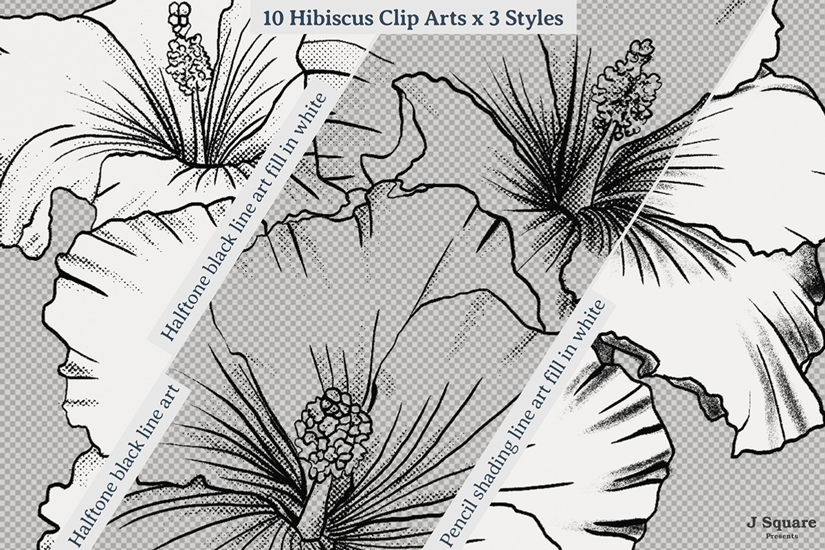Hibiscus ClipArts & Alphabets, an Object Graphic by JSquarePresents