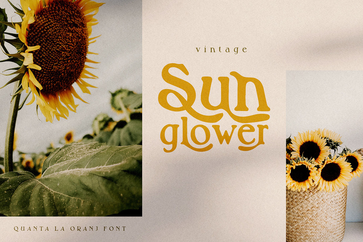 Quanta La Oranj Vintage Serif Font, a Serif Font by Creativeqube Design ...