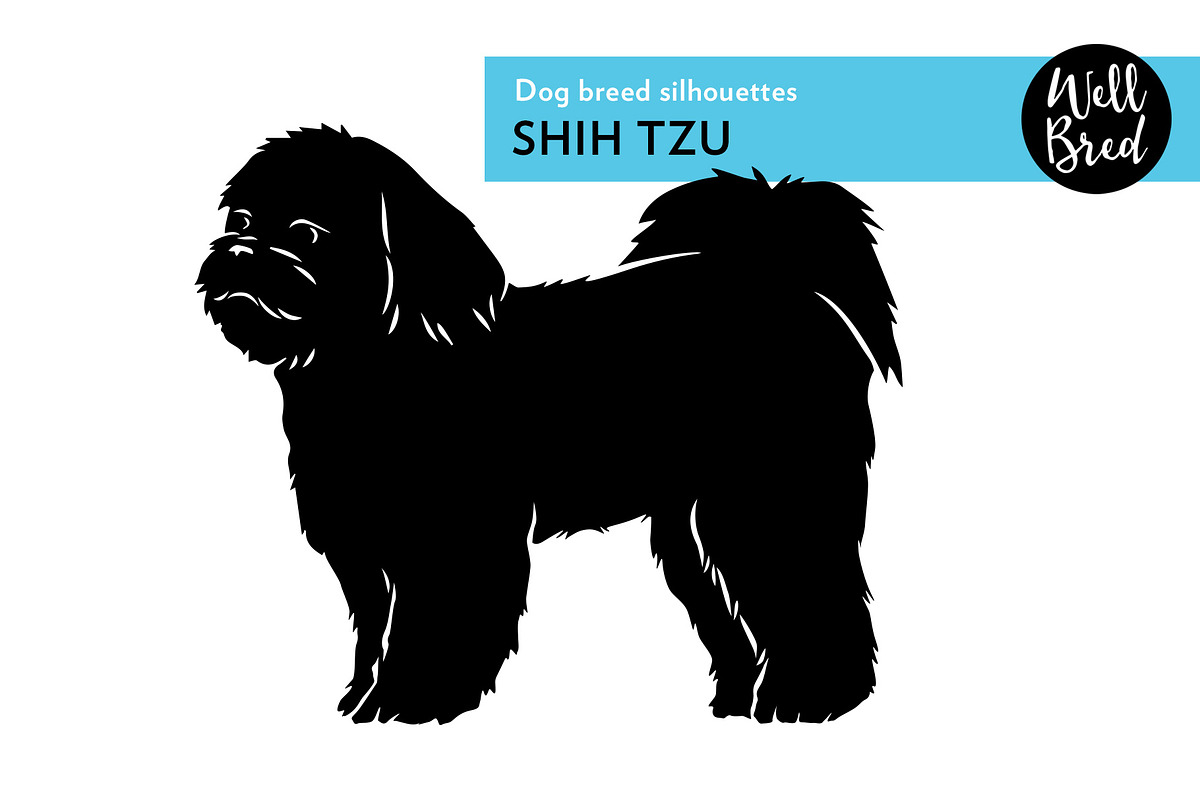 Shih Tzu Vector Silhouette, an Illustration by Jon Hall Design