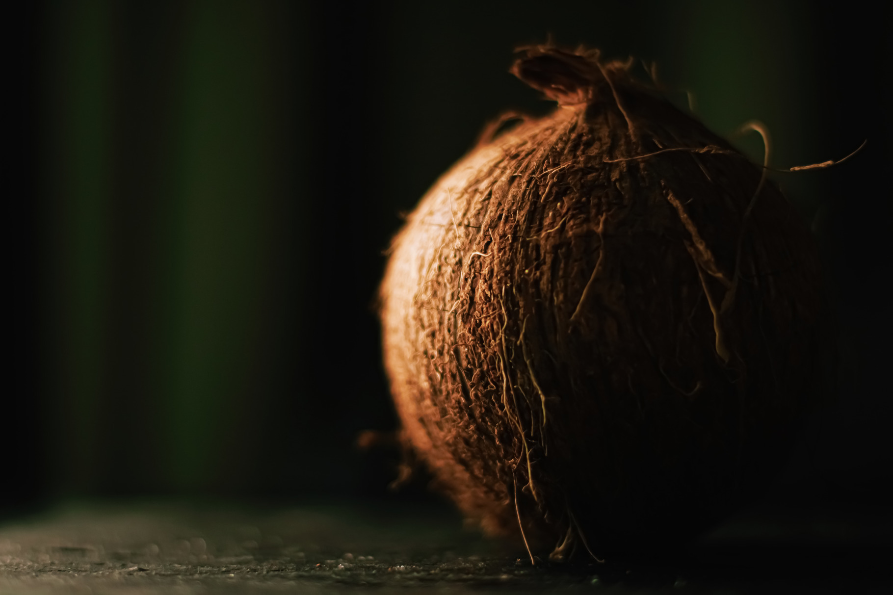 Coconut on dark background, food and nature, a Food & Drink Photo by ...