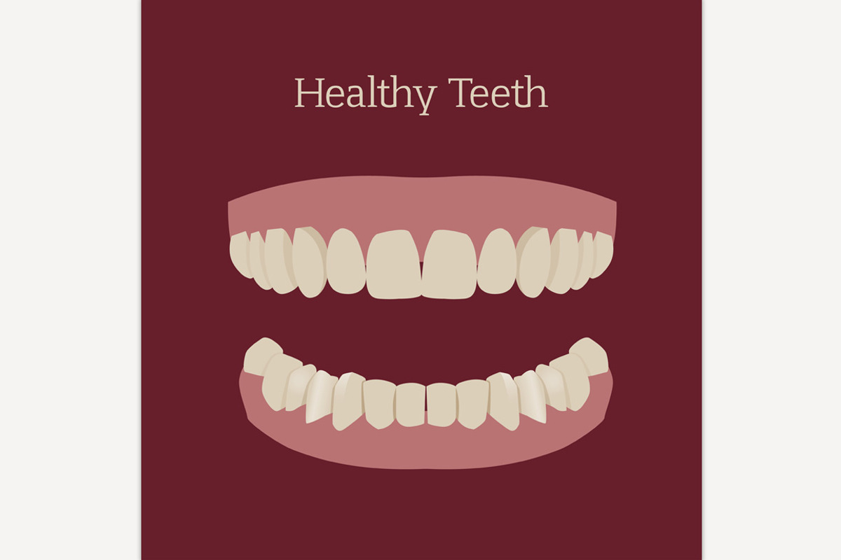 Healthy Teeth Vector Image, a Healthcare Illustration by Anna's Shop