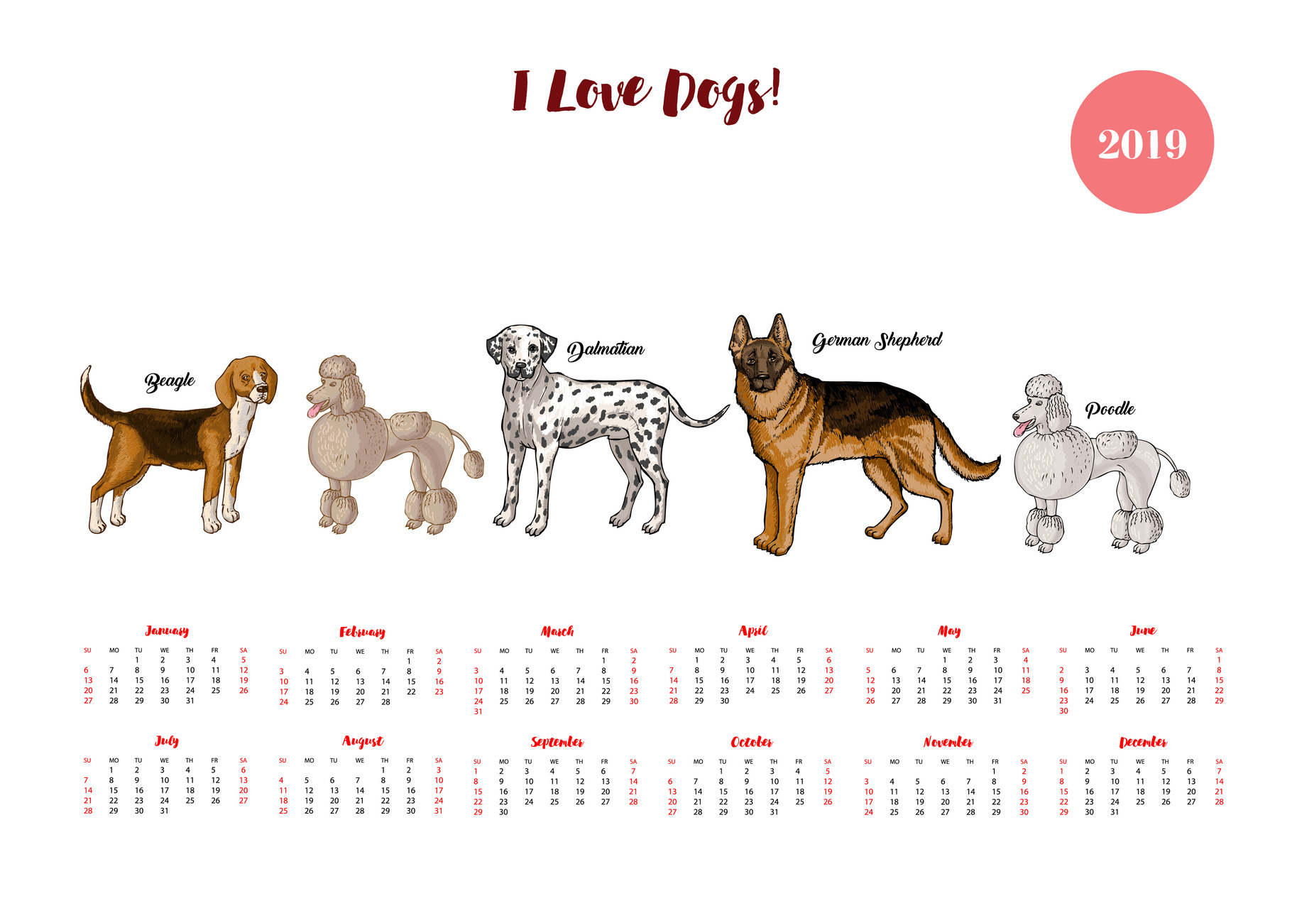 Dogs calendar 2019. Dogs breeds, an Animal Illustration by ...
