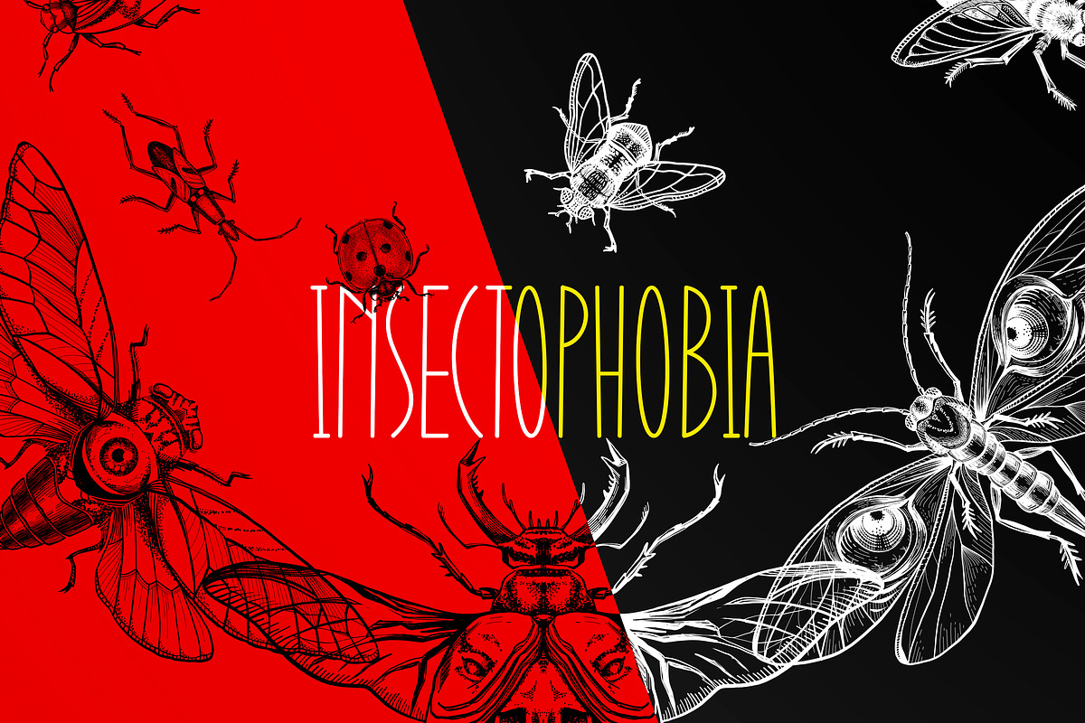 Insectophobia. Elegant insects, an Illustration by OlgaSoi007 ...