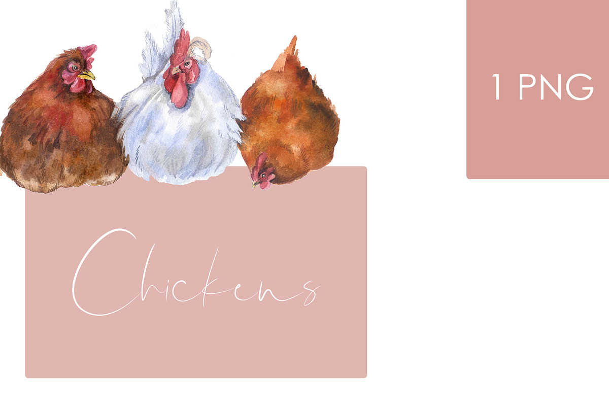 Watercolor farm Clipart Cute chicken, an Animal Illustration by ...