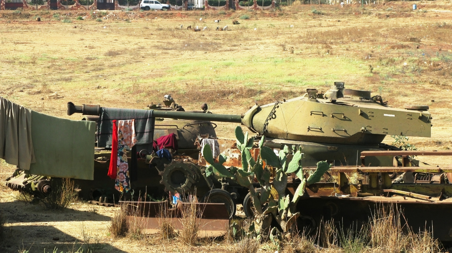 Tank cemetery in the asmara eritrea featuring tank, graveyard, and ...