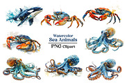 Watercolor sea animals clipart png