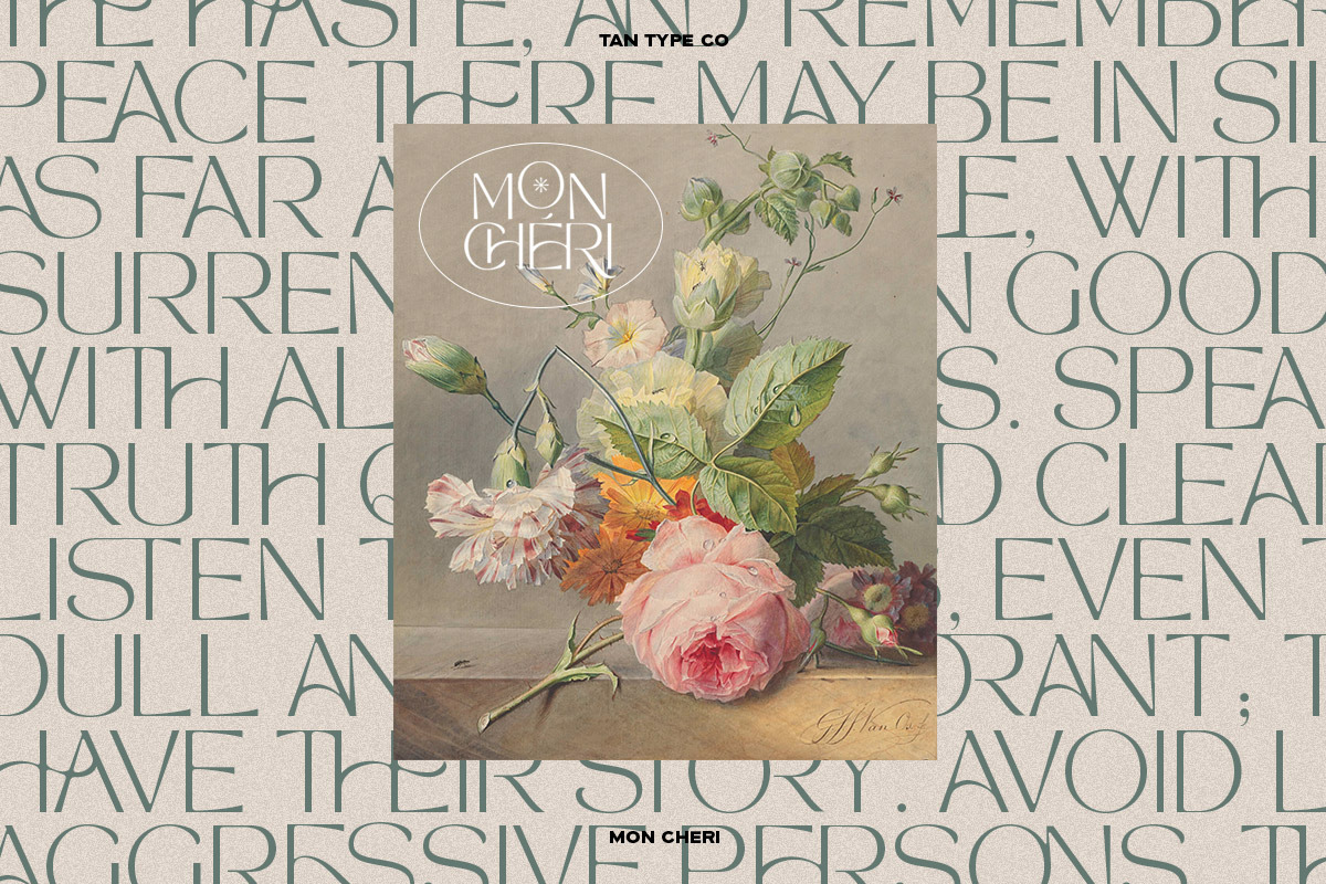 TAN - MON CHERI, a Sans Serif Font by TanType