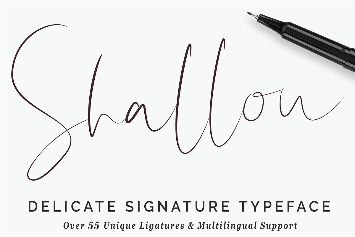 Shallou Signature Script Typeface, a Script Font by Drifter Studio