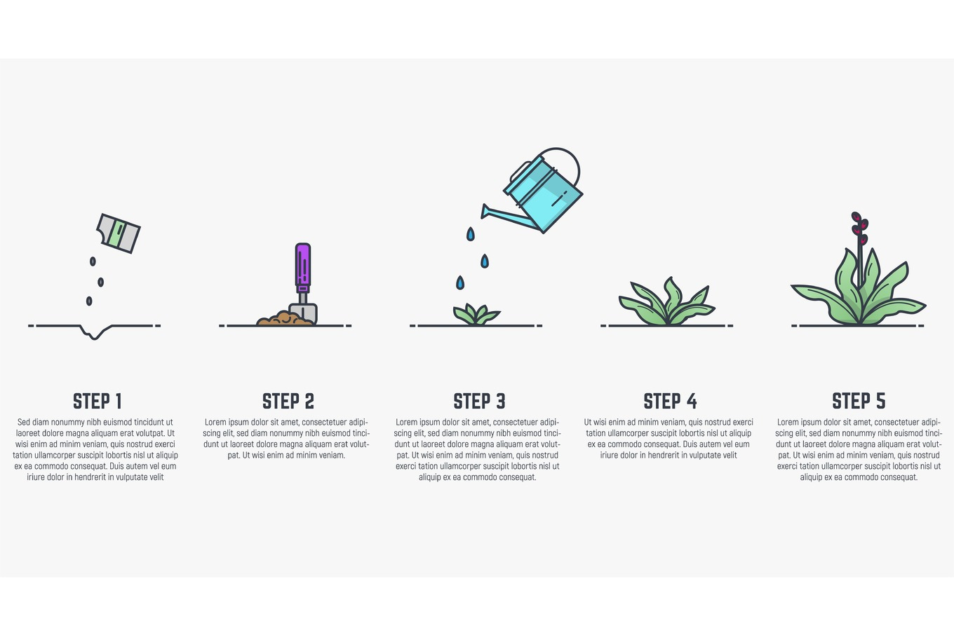 Growing stages of plant | Work Illustrations ~ Creative Market