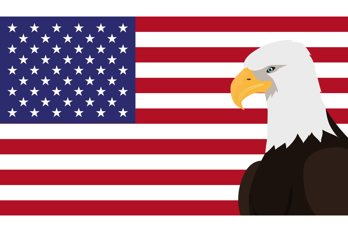 Bald Eagle Flat Design, an Animal Illustration by robuart