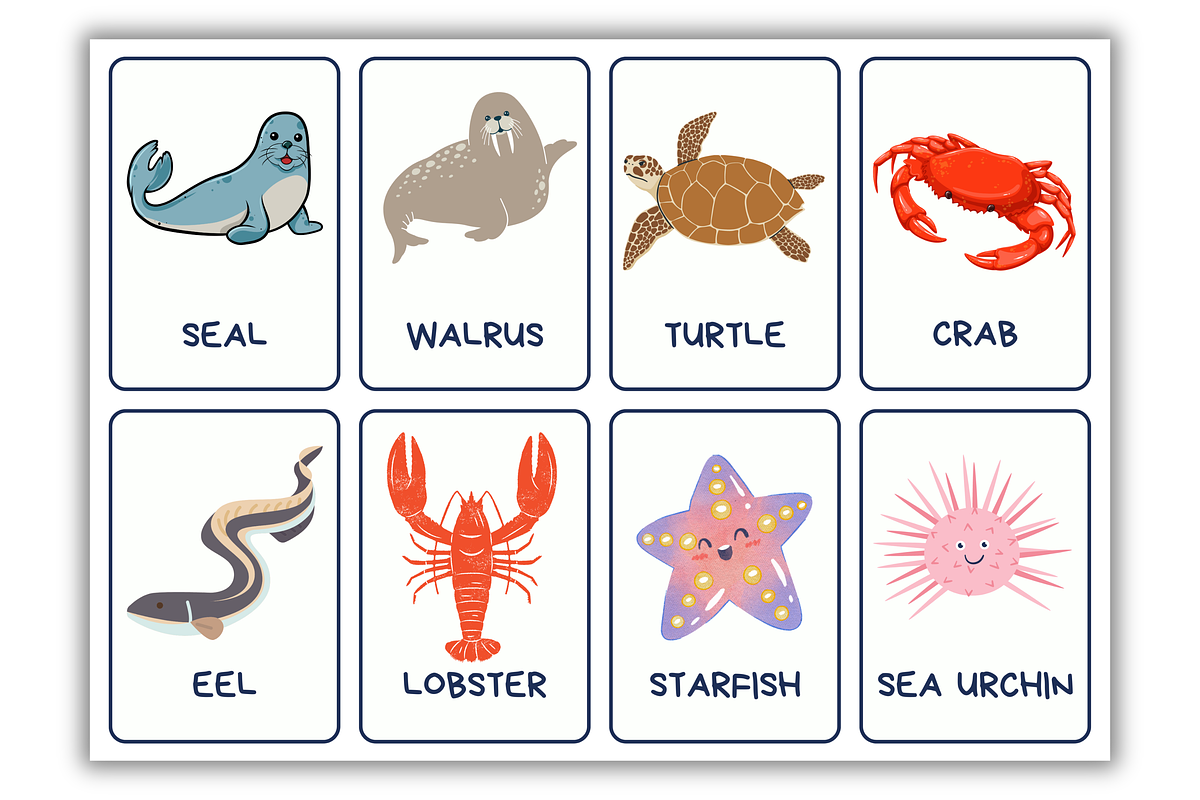 Sea animal flashcard