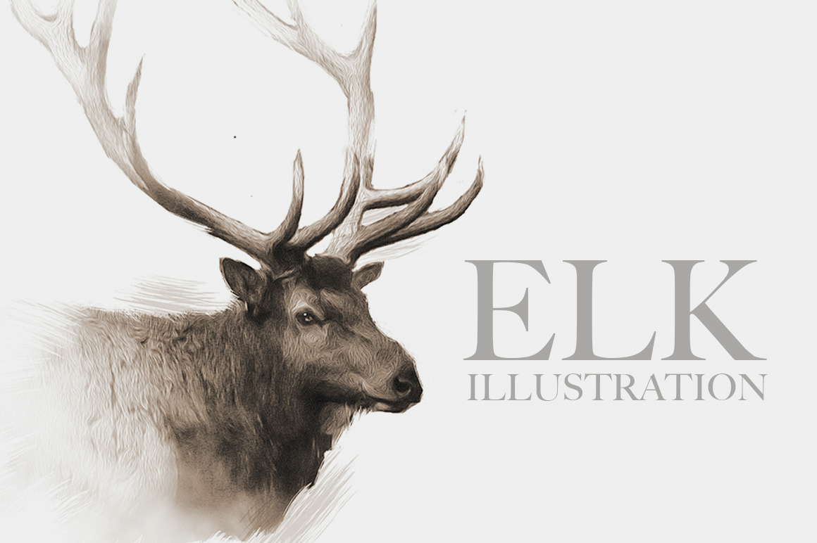 Elk Wildlife Illustration, an Animal Illustration by Digital Art Downloads