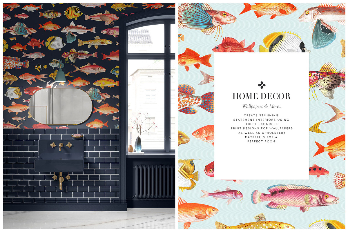 Mulgogi, luxury Fish illustration art.
