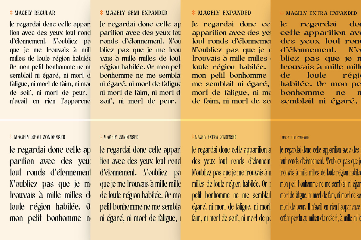 Magely - Stylish Serif Font Family, a Serif Font by Craft Supply Co.