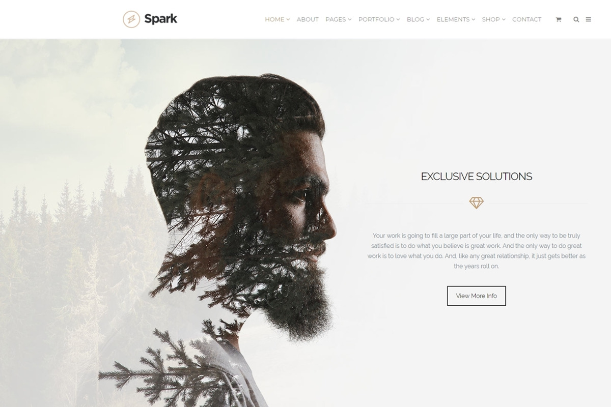 Spark Ultimate WordPress Theme & Tools