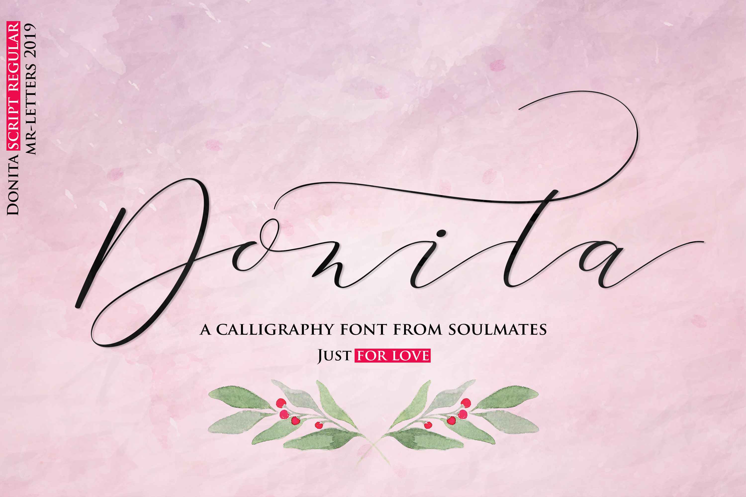 Donita Script, a Script Font by MrLetters