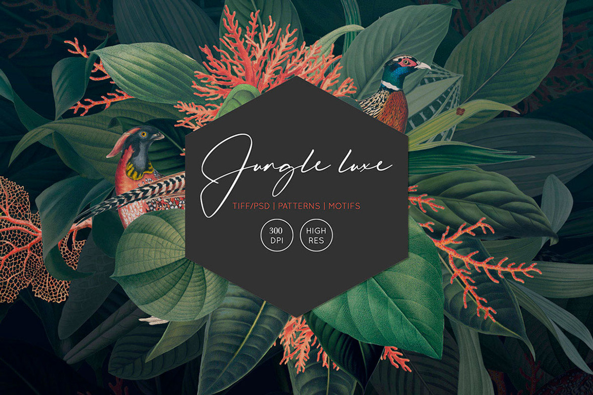 Luxury Tropical print patterns