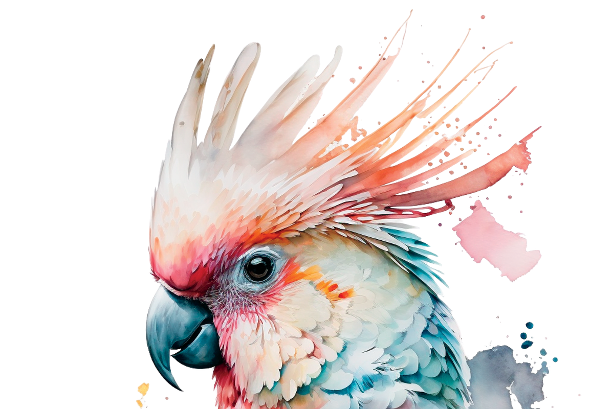 Cockatoo Watercolor Illustration Set