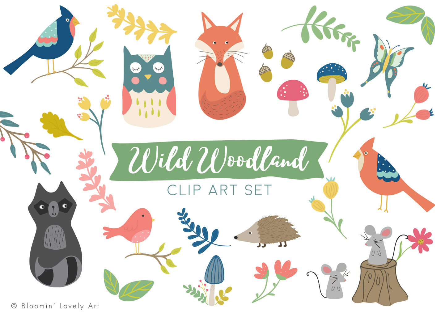 Woodland Animal Clip Art, an Object Graphic by Sweet Little Muse