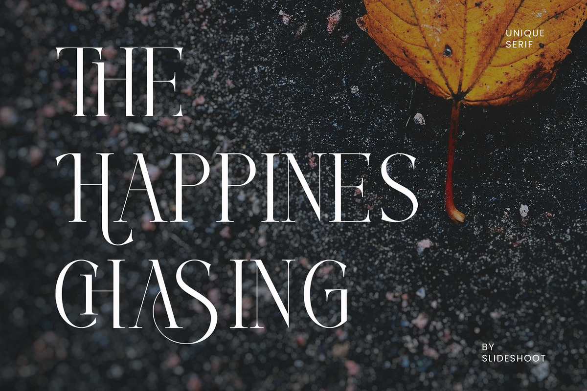Saignh Serif Font, a Serif Font by Idea Studio