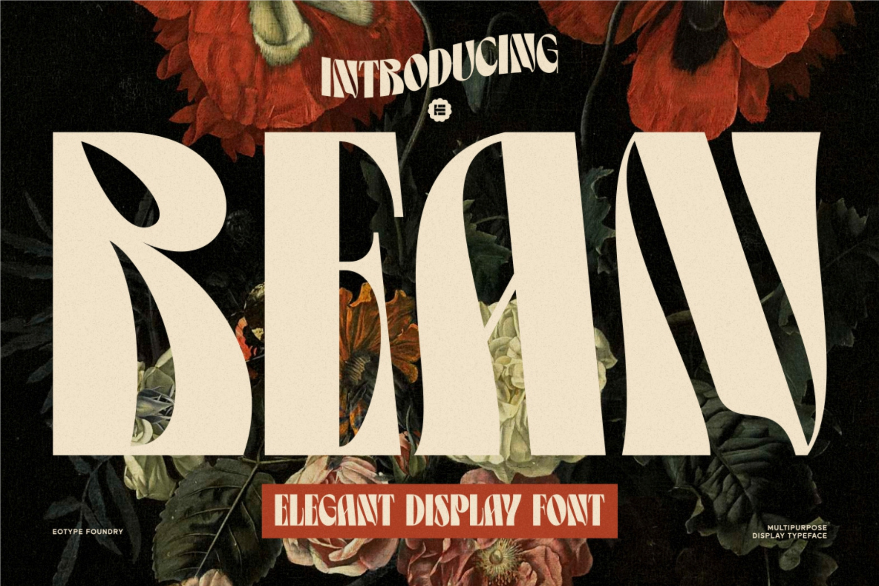 Bean Display Font | Creative Market