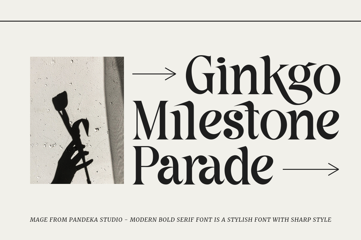 Mage - Modern Sharp Serif, a Serif Font by Pandeka Studio