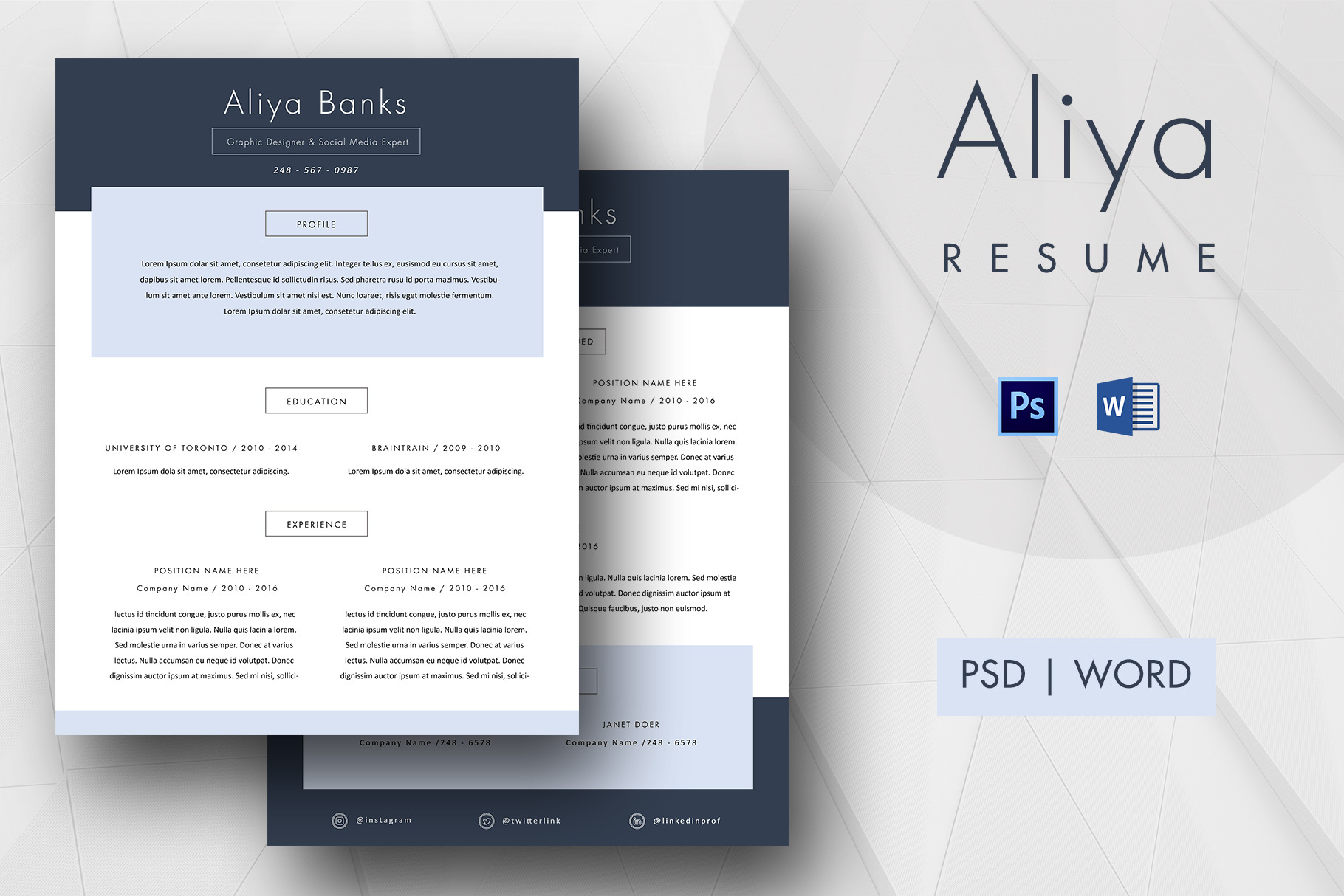 Clean & Simple 2 Page Resume - Aliya, a Resume Template by Blue Orient ...