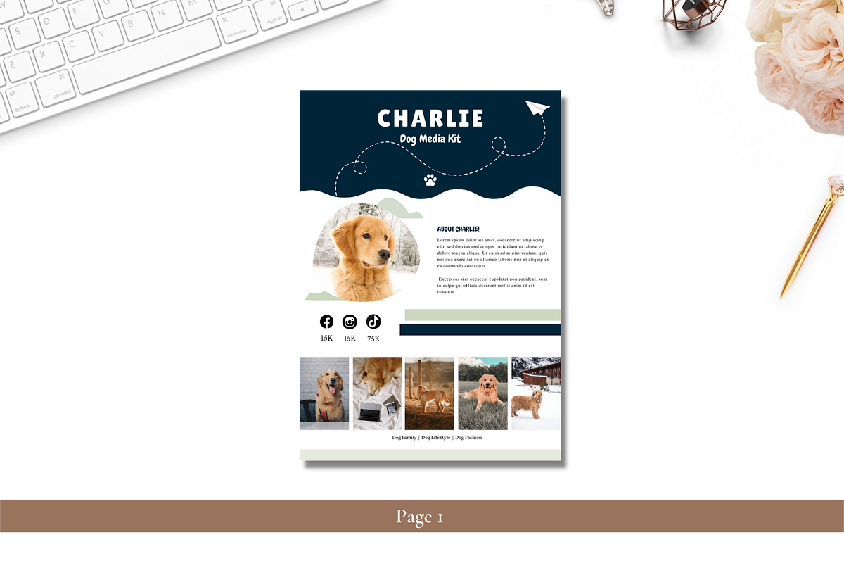 Pet Media Kit, Dog Media Kit, Canva | Creative Market