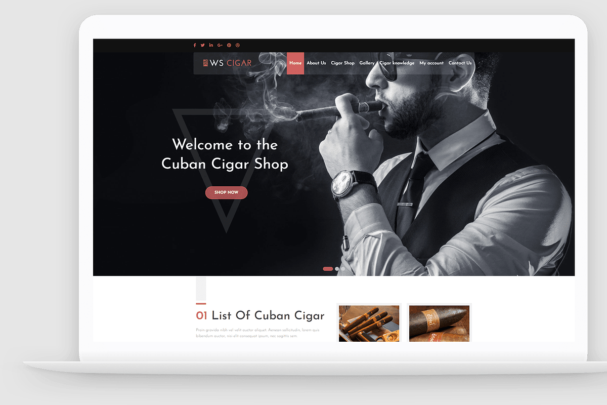 WS Cigar - Cigarette Store Theme, a WordPress Template by LTheme