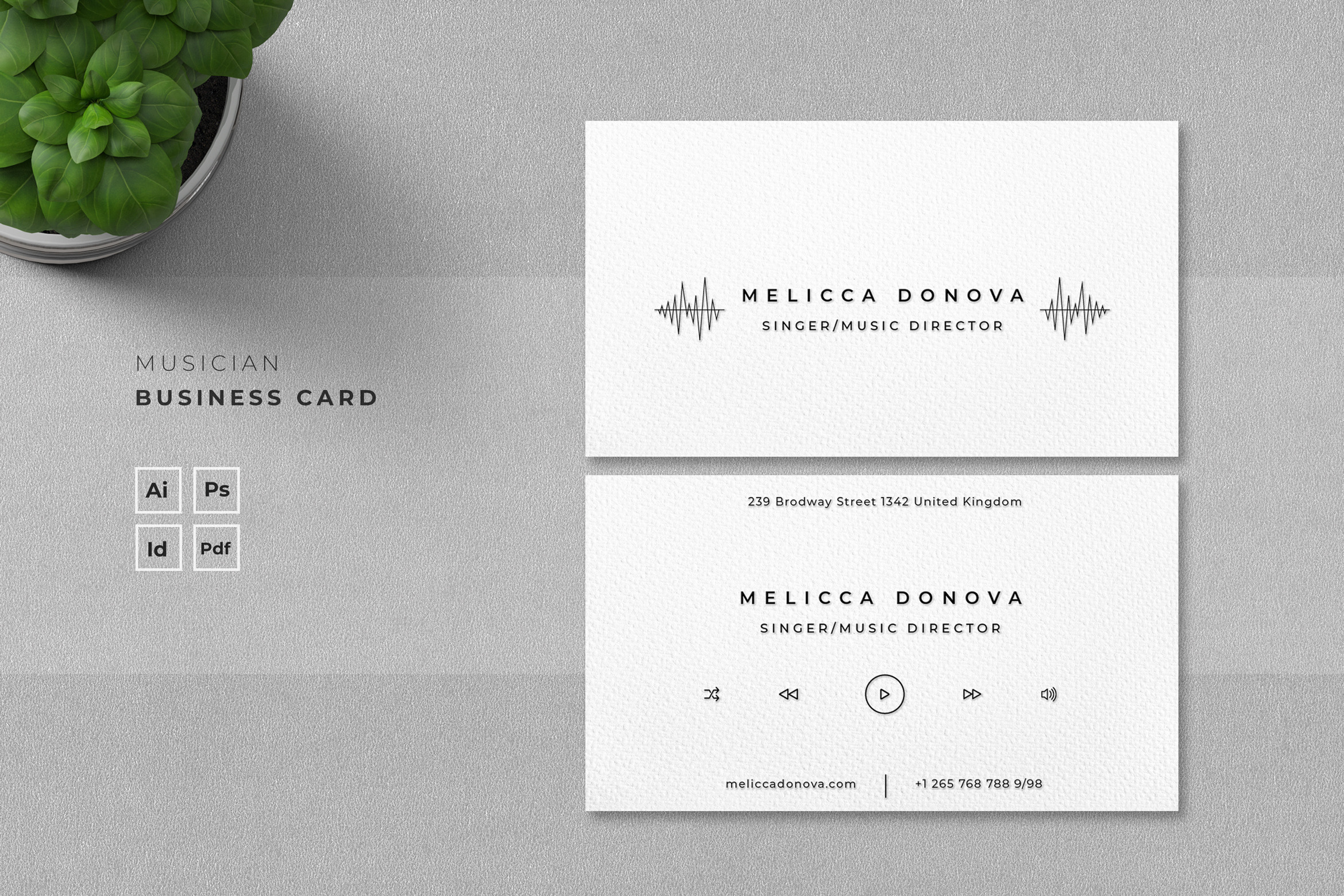 Musician Business Card