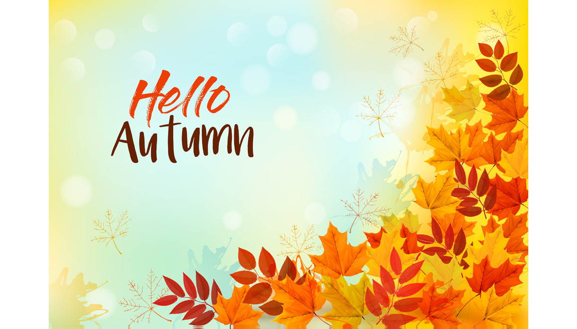 Autumn Background With Leaves, a Seasonal Illustration by ecco