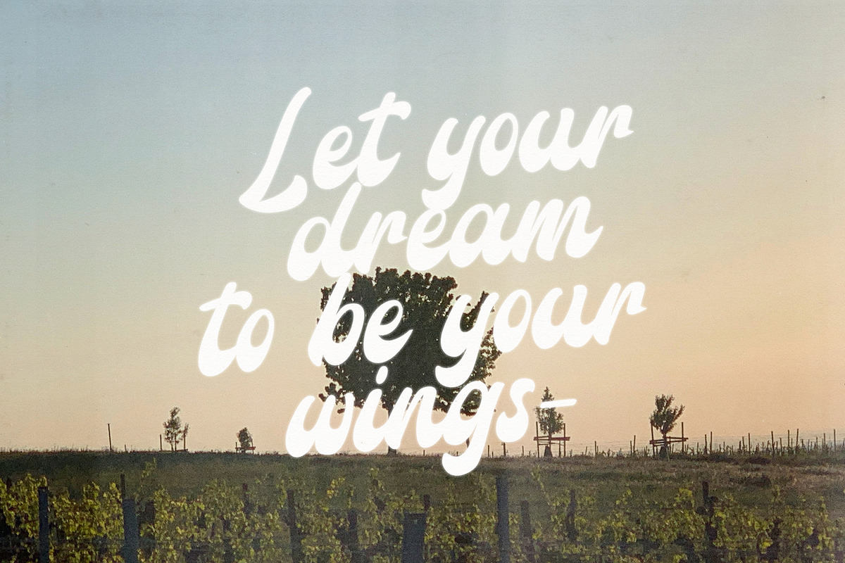 Amigos Script - Retro Script Font, a Script Font by StringLabs | Creative Market