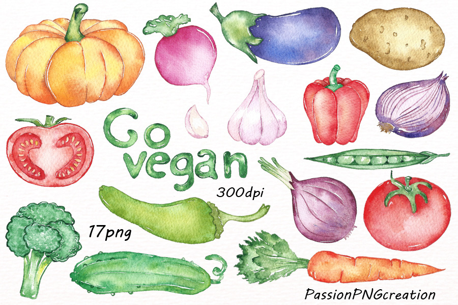 Watercolor Vegetables Clipart | Food Illustrations ~ Creative Market