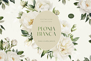 Watercolor wedding white peonies
