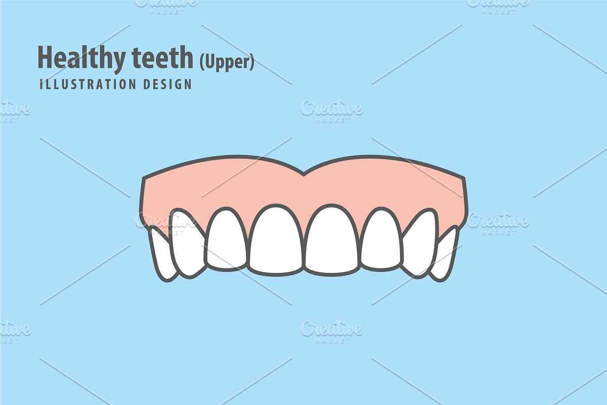 Upper healthy teeth | Creative Market