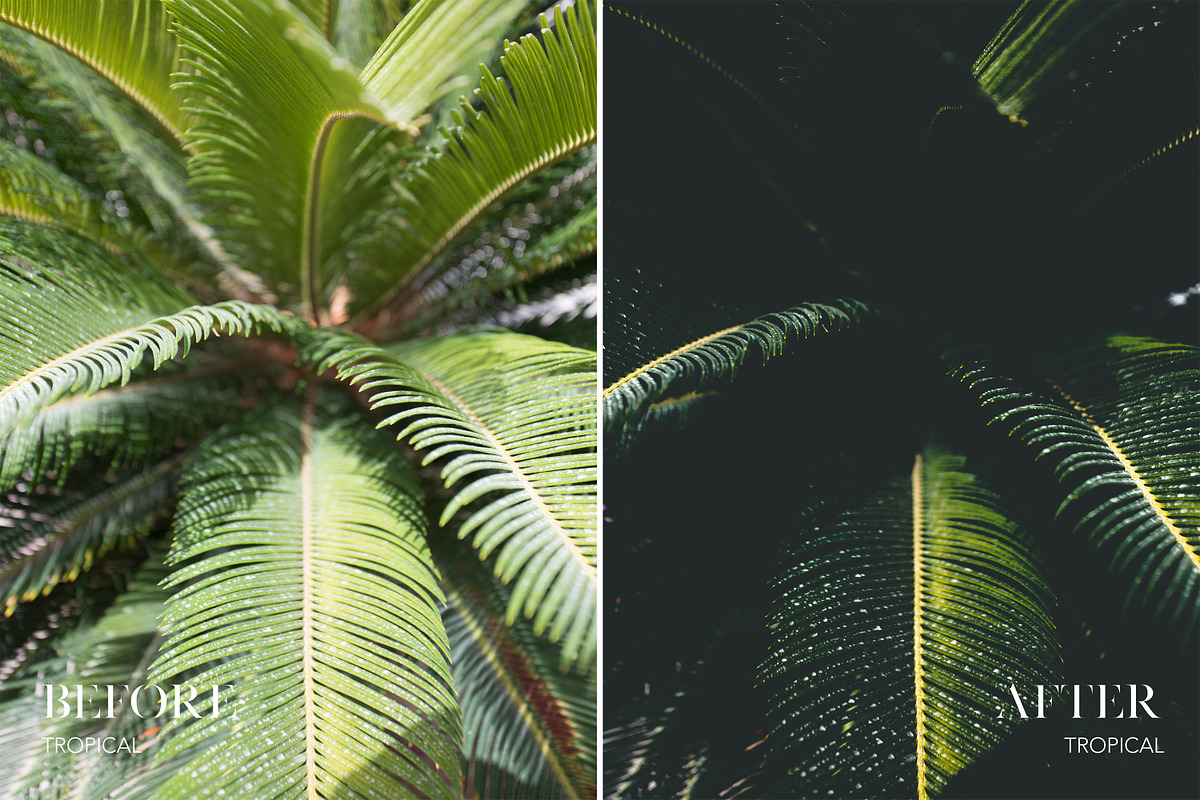 Joshua Fuller Presets Vol.05, an Action Add-On by Joshua Fuller