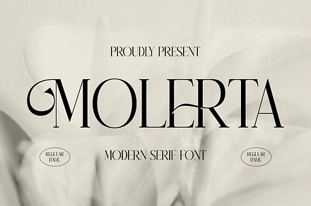 Raillinc Modern Display Serif Font, a Font by Storytype Studio