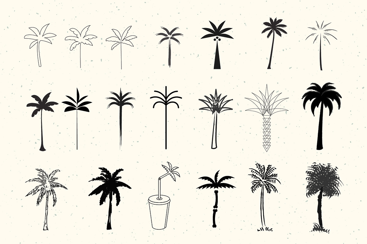 50 Palm Tree Vector Logos & Icons, an Outline Icon by Tropical Type