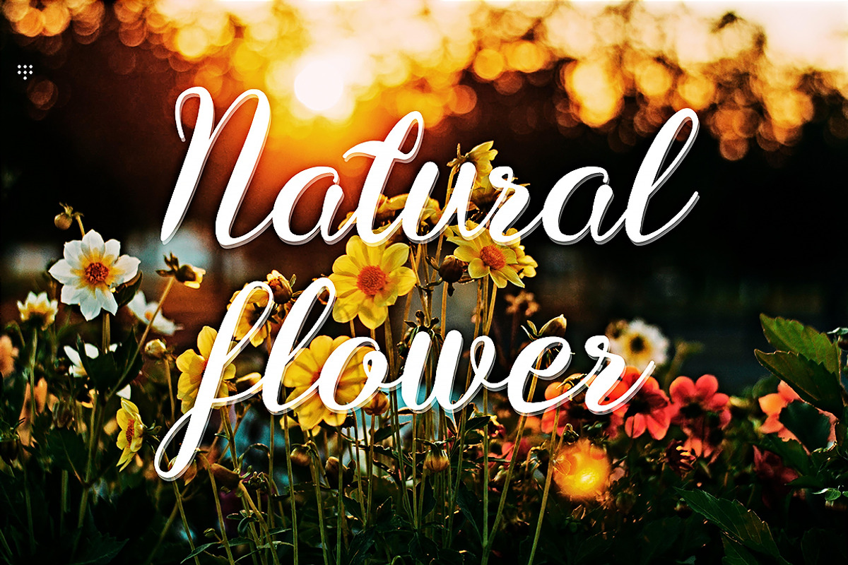 Anisa Font Script