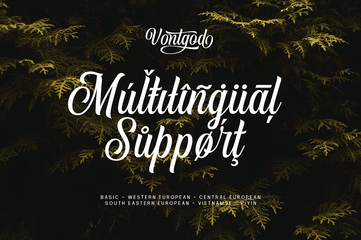 Vontgod Typeface, a Script Font by alit design