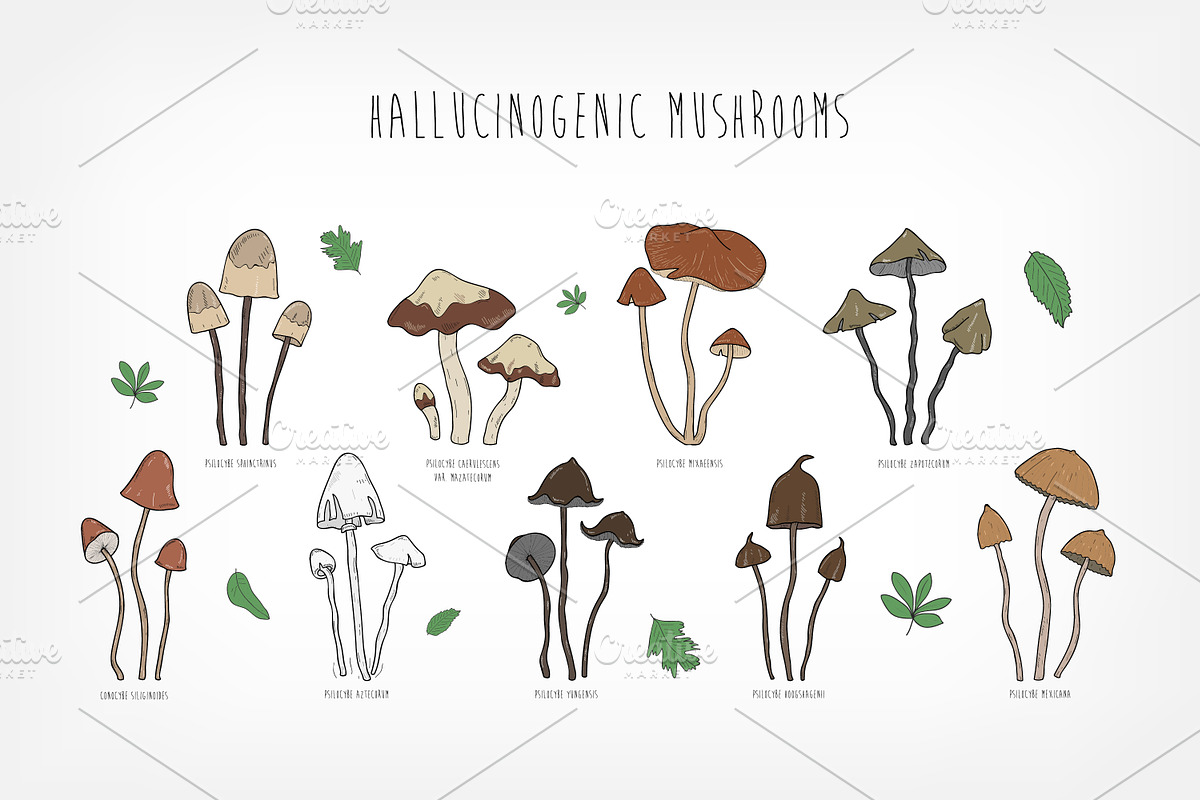 Set of hallucinogenic mushrooms, a Food Illustration by Good Studio