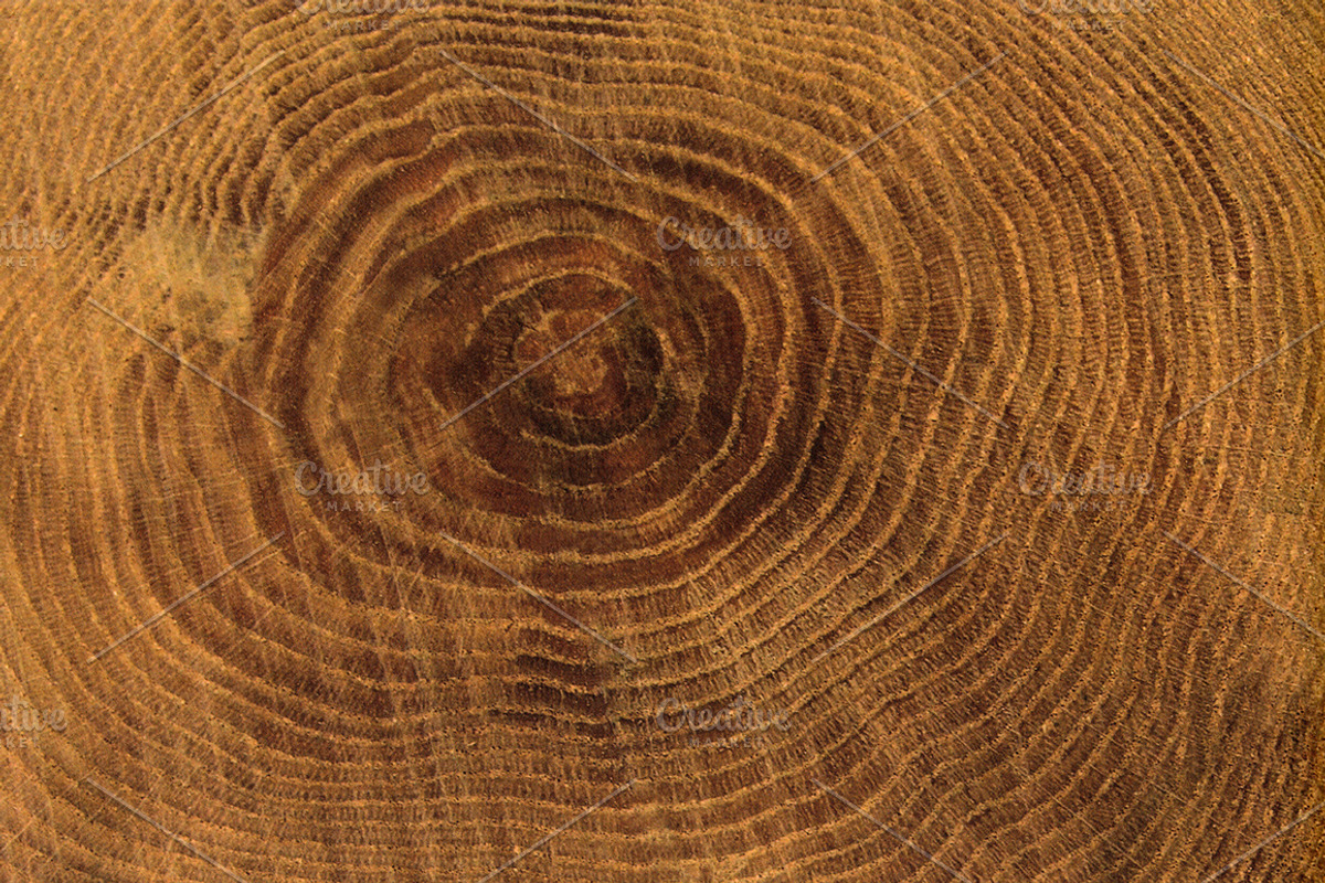 End Grain Textures, a Texture Graphic by Blue Line Design