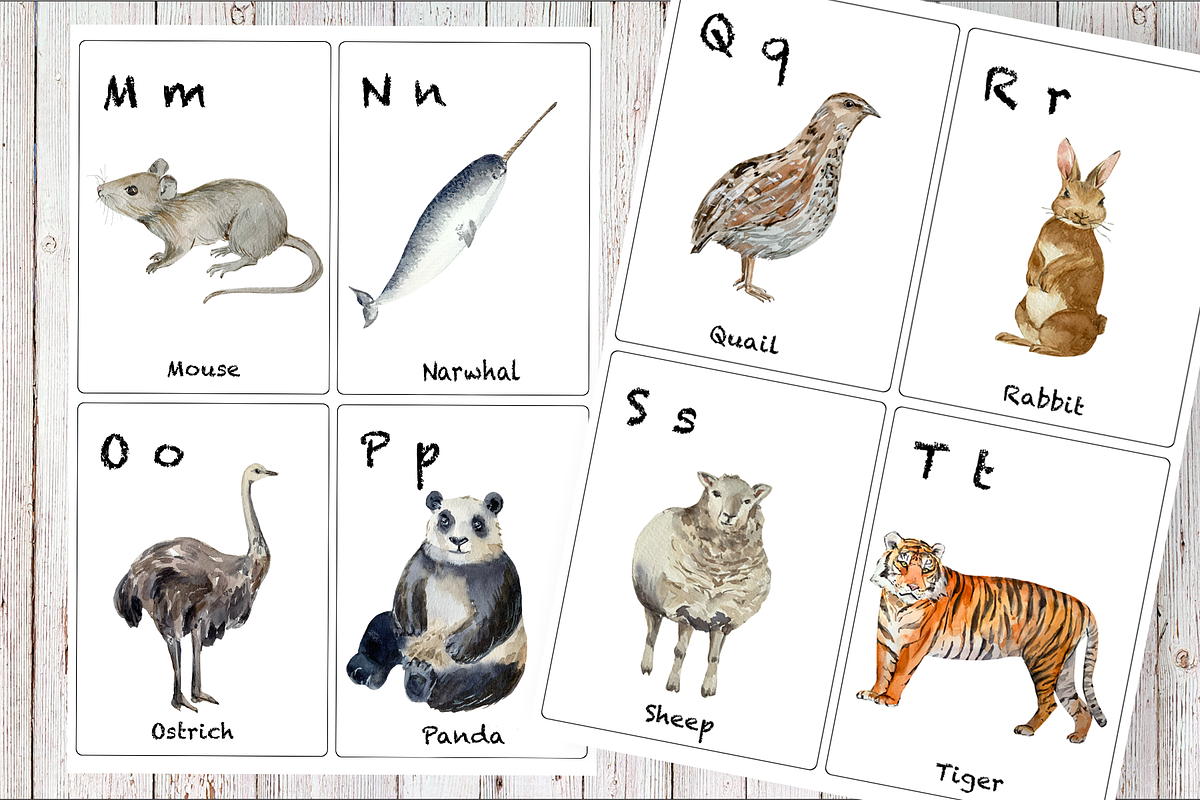 Watercolor ABC Animals Flashcards, an Animal Illustration by Tati Bordiu