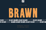 Brawn Handwritten typeface, 40 fonts, a Font by VP Fonts