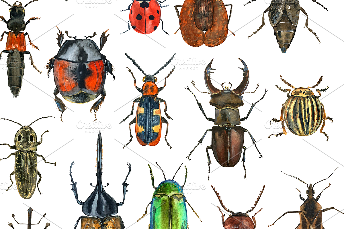 Beetles ABC Posters, an Education Illustration by Tati Bordiu ...