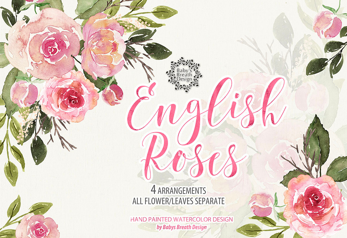 -50% English Roses design, an Illustration by Babysbreath/Dandelionery