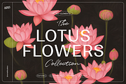 Lotus Flowers, an Illustration by Nomad Visuals